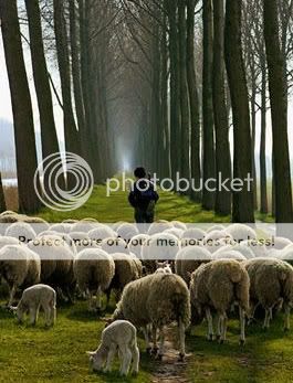 The Gate is Narrow | Paid for by the blood of Jesus Christ