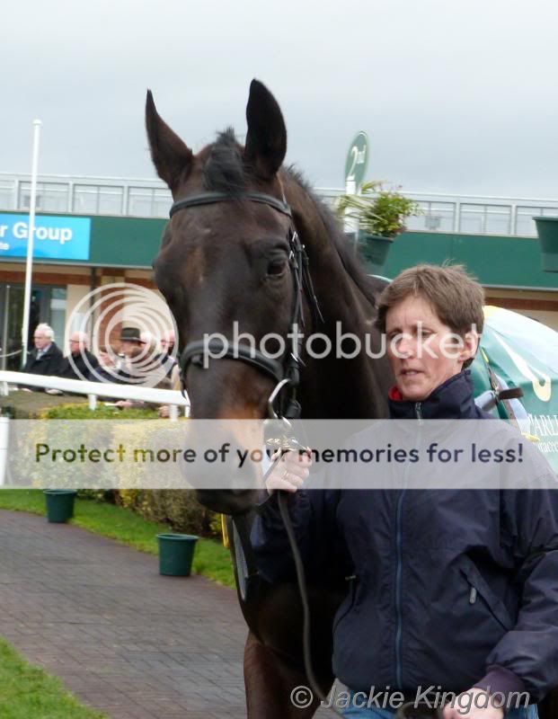 Details Of Sudski Vestak Građevinske Struke | efrainmawby's Blog